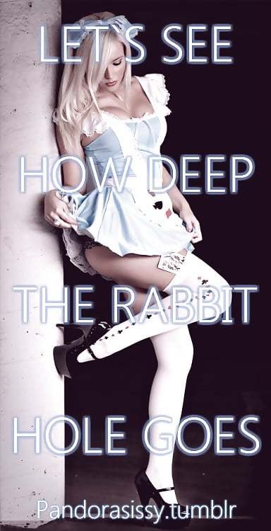 Dive deep | Scrolller