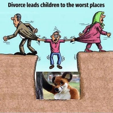 Divorce_irl | Scrolller