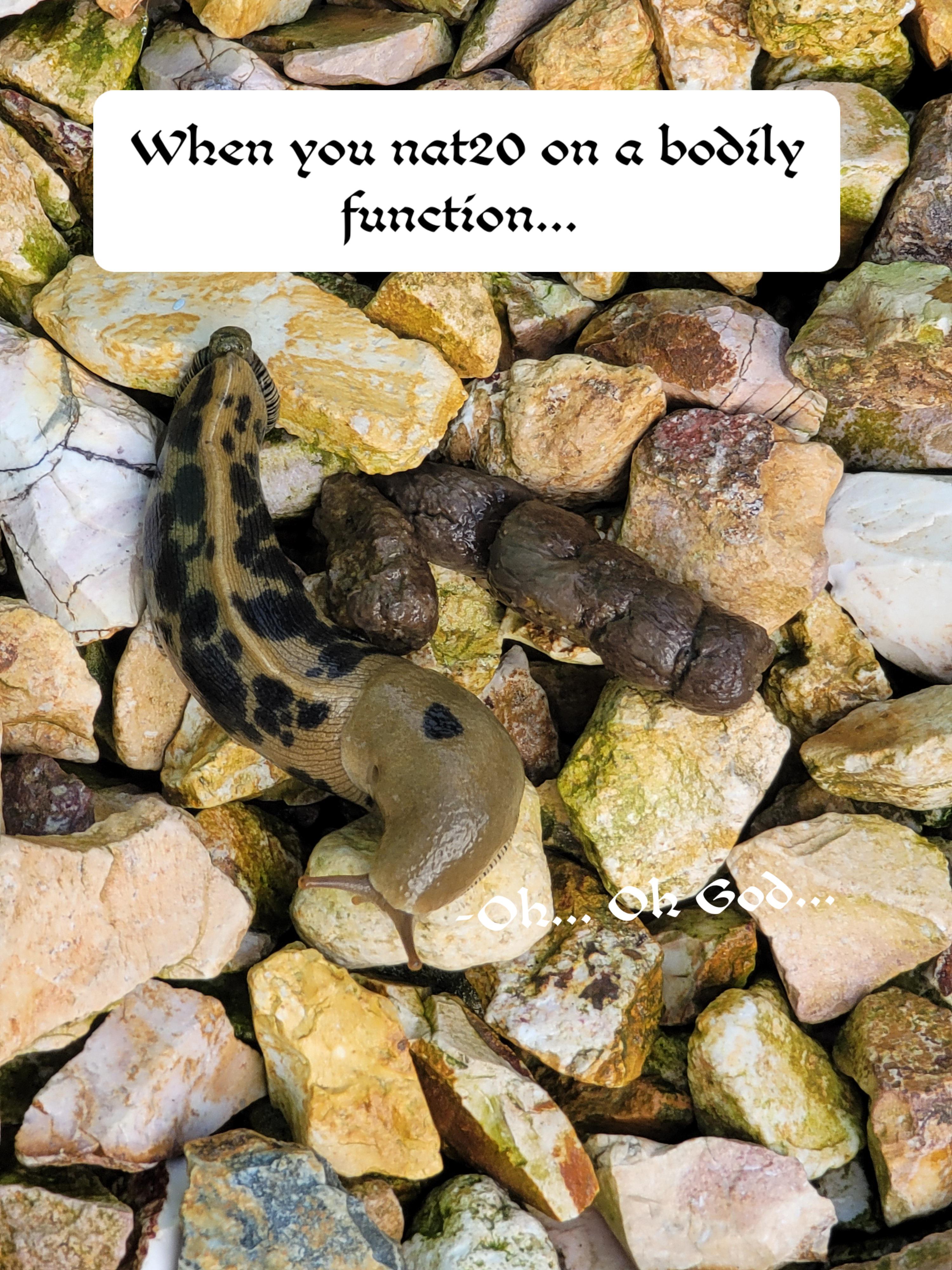 Dm: Now roll damage... | Scrolller