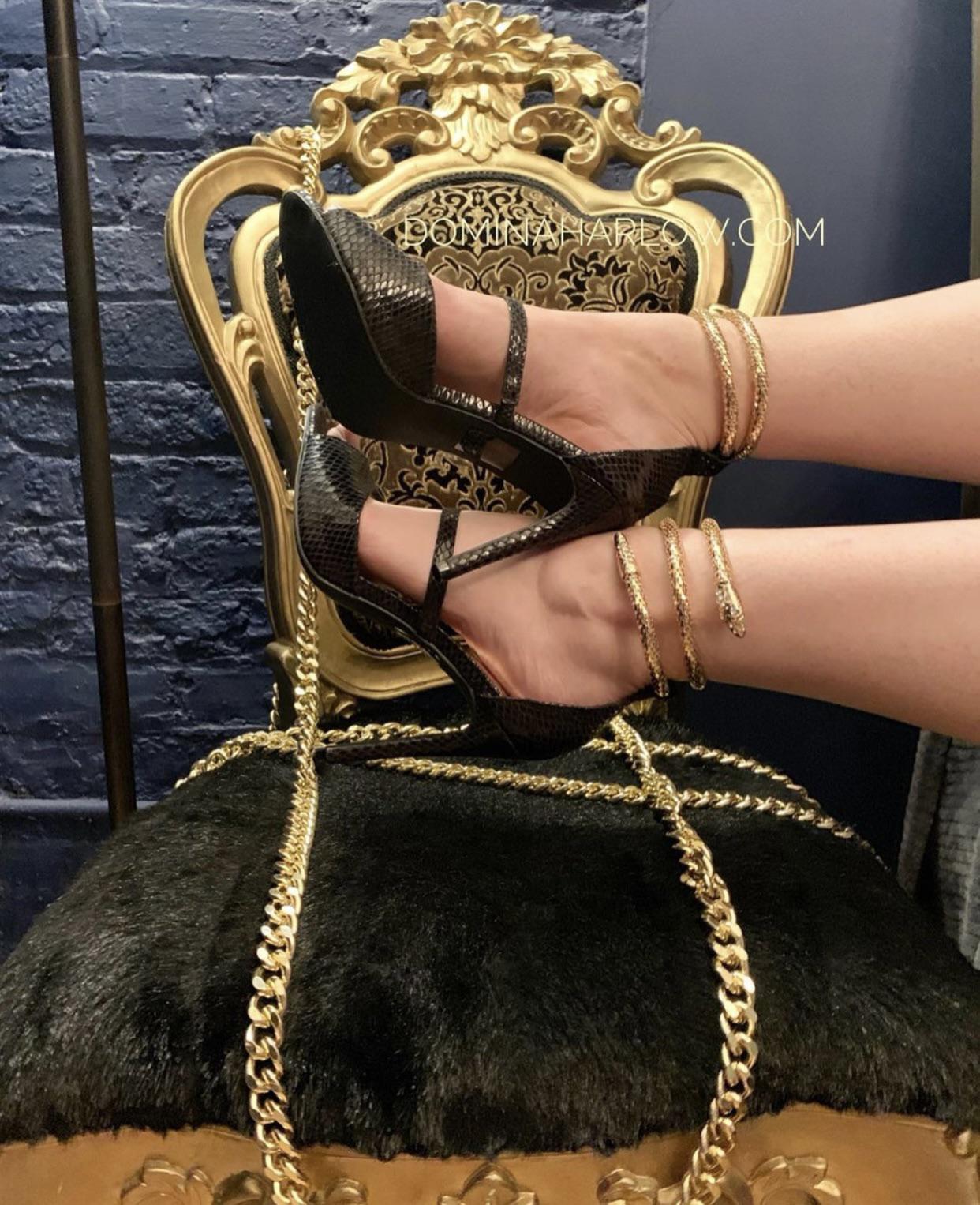 Dm to worship my heels | Scrolller