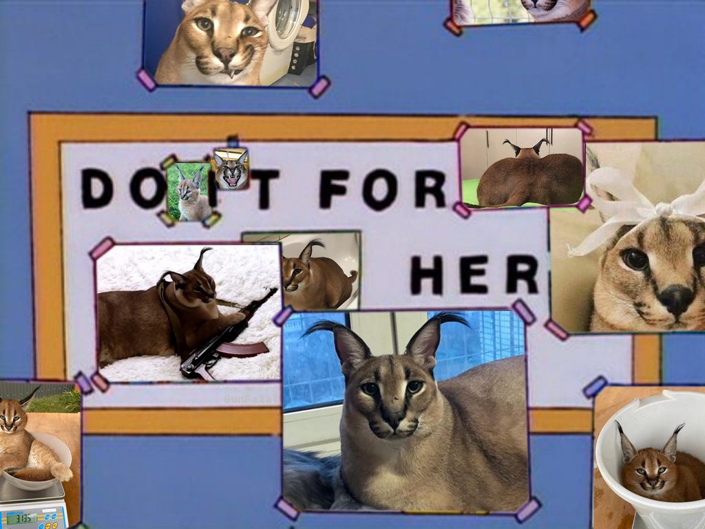 Do it for floppa | Scrolller