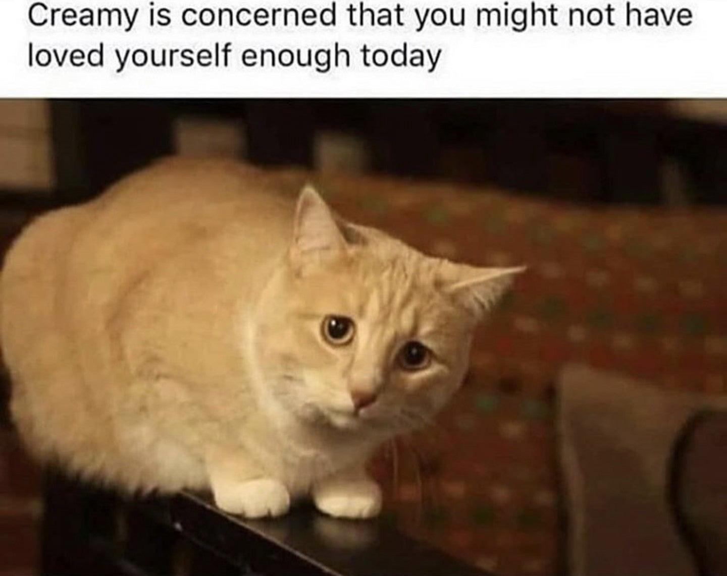 Do it I dare you | Scrolller