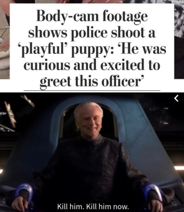 Do it now | Scrolller