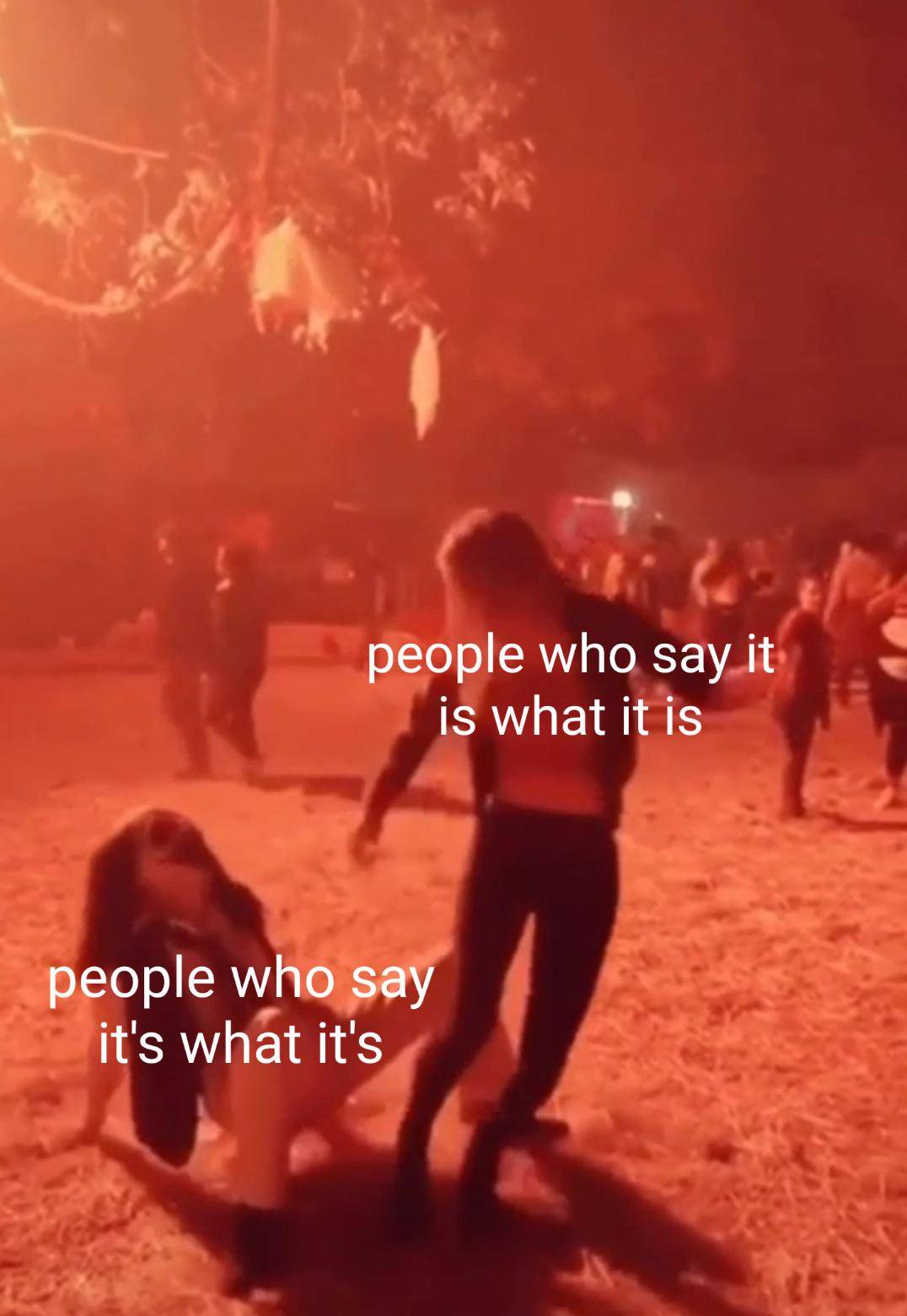 do not question them | Scrolller