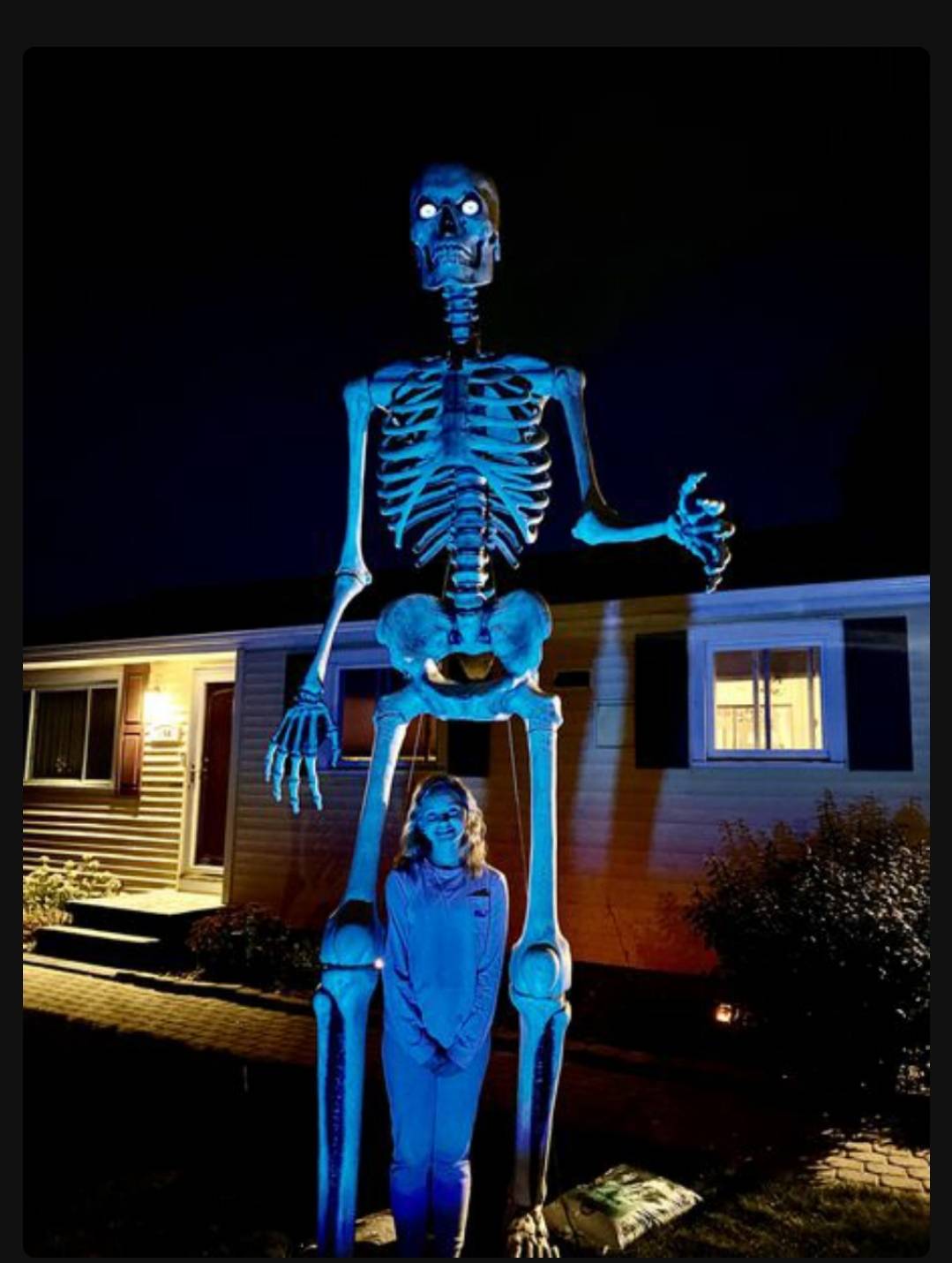 Do we have any giant skeletons in GNV? I really need to see one of these in the wild. | Scrolller