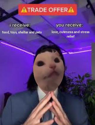 do you accept? | Scrolller