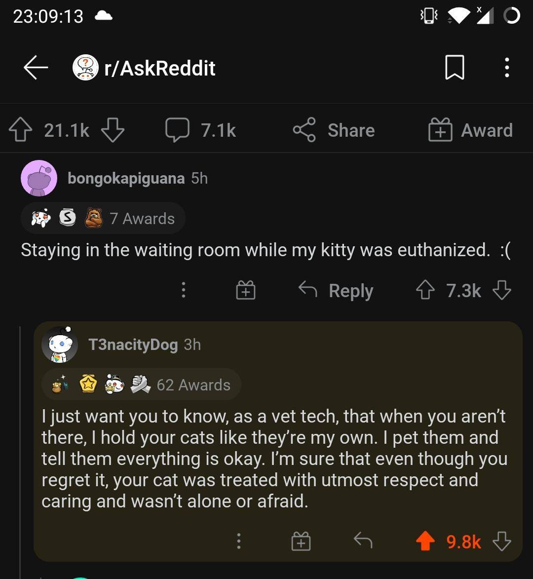 "Do you have any regrets?" | Scrolller