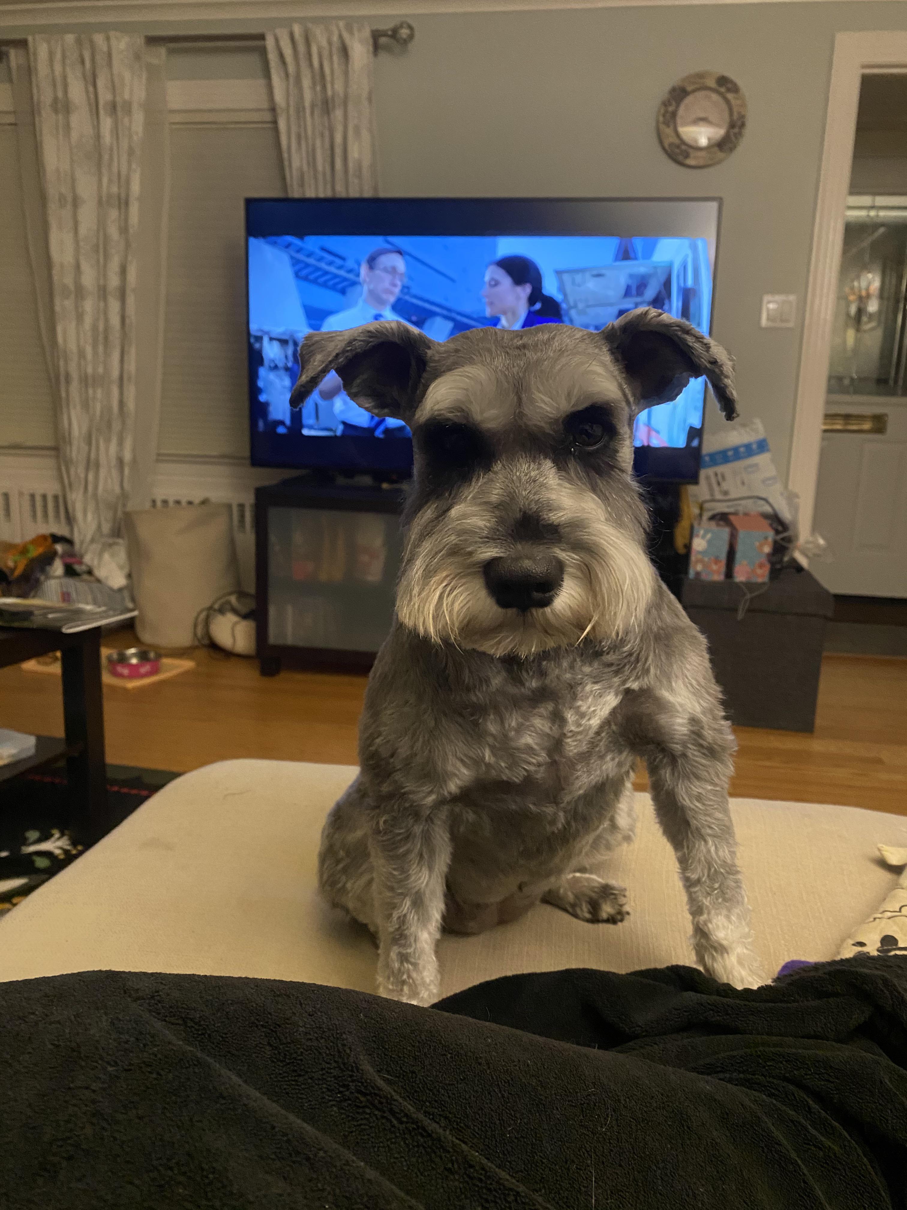 Do you think she wants something? | Scrolller Do you think she wants something? | Scrolller