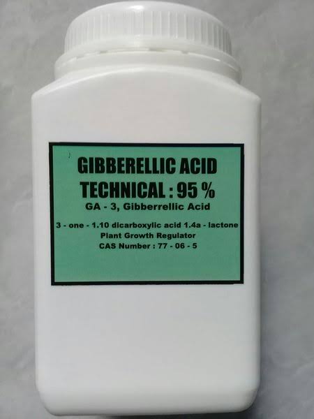 Does anyone use it? | Scrolller