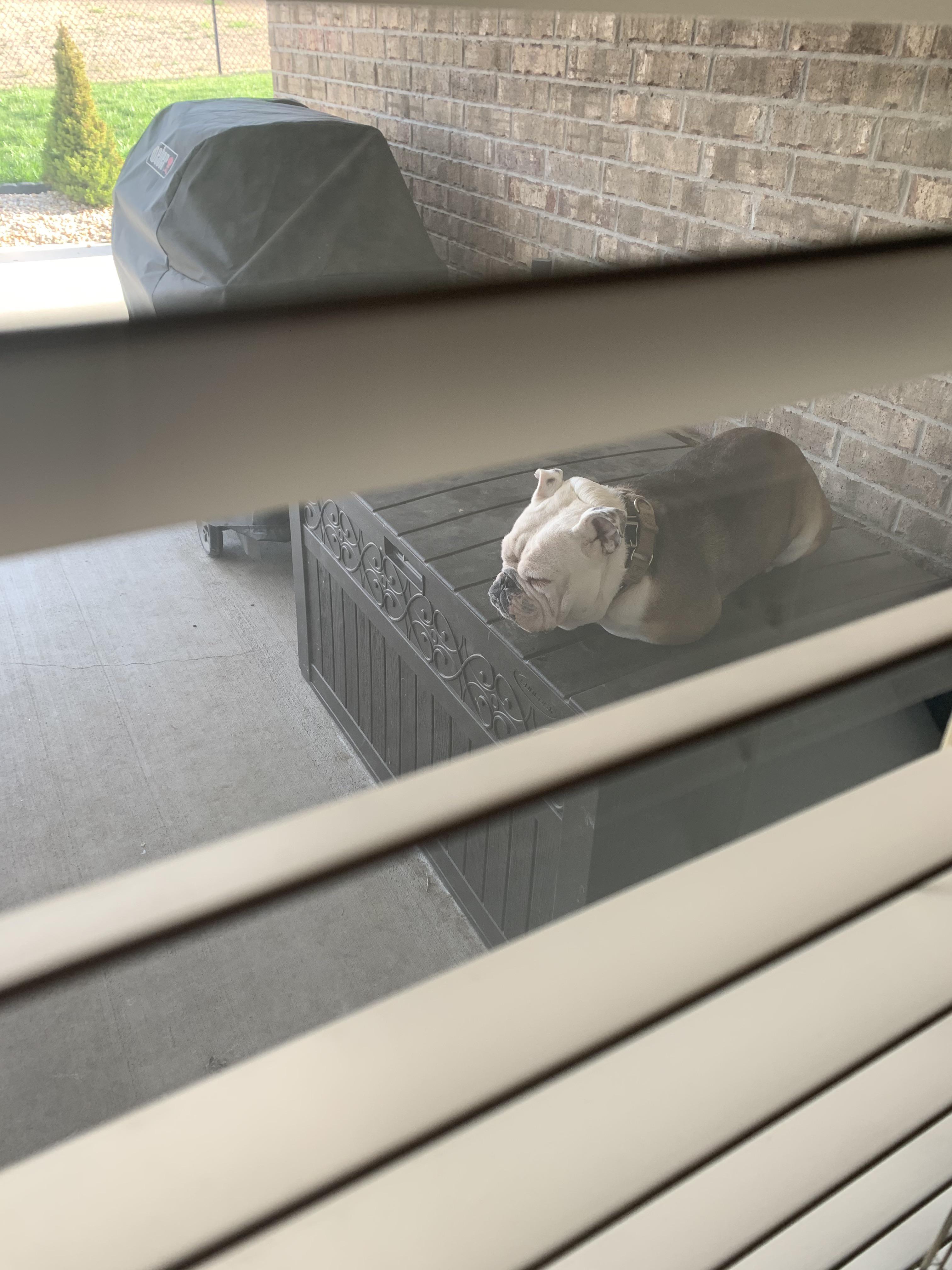 Does this count? | Scrolller