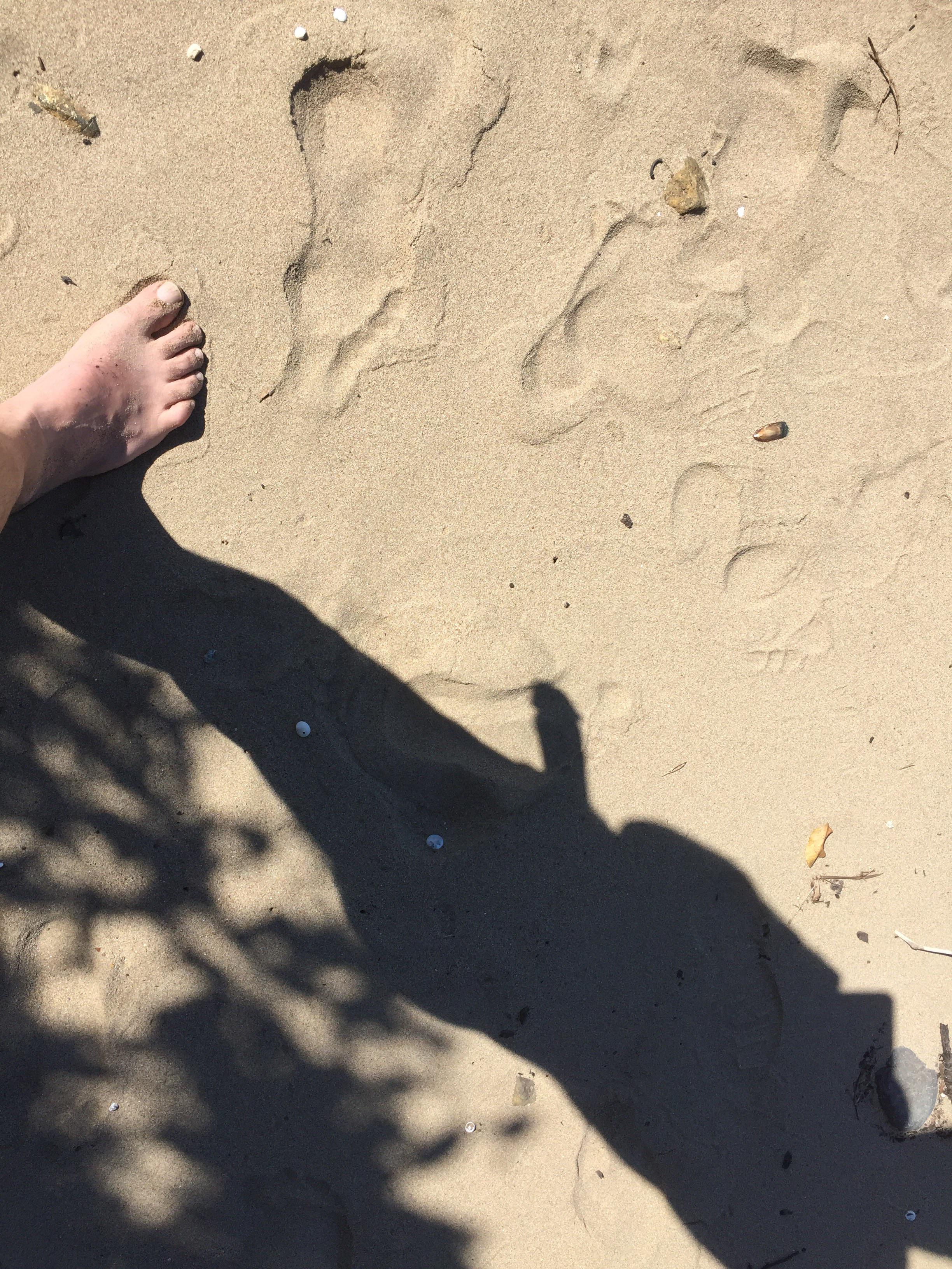 Does this count? | Scrolller