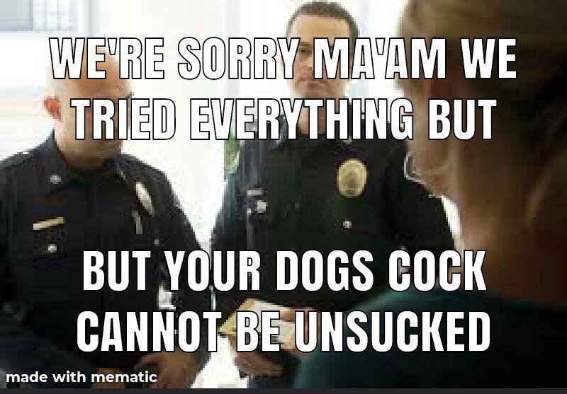 Dog rule | Scrolller