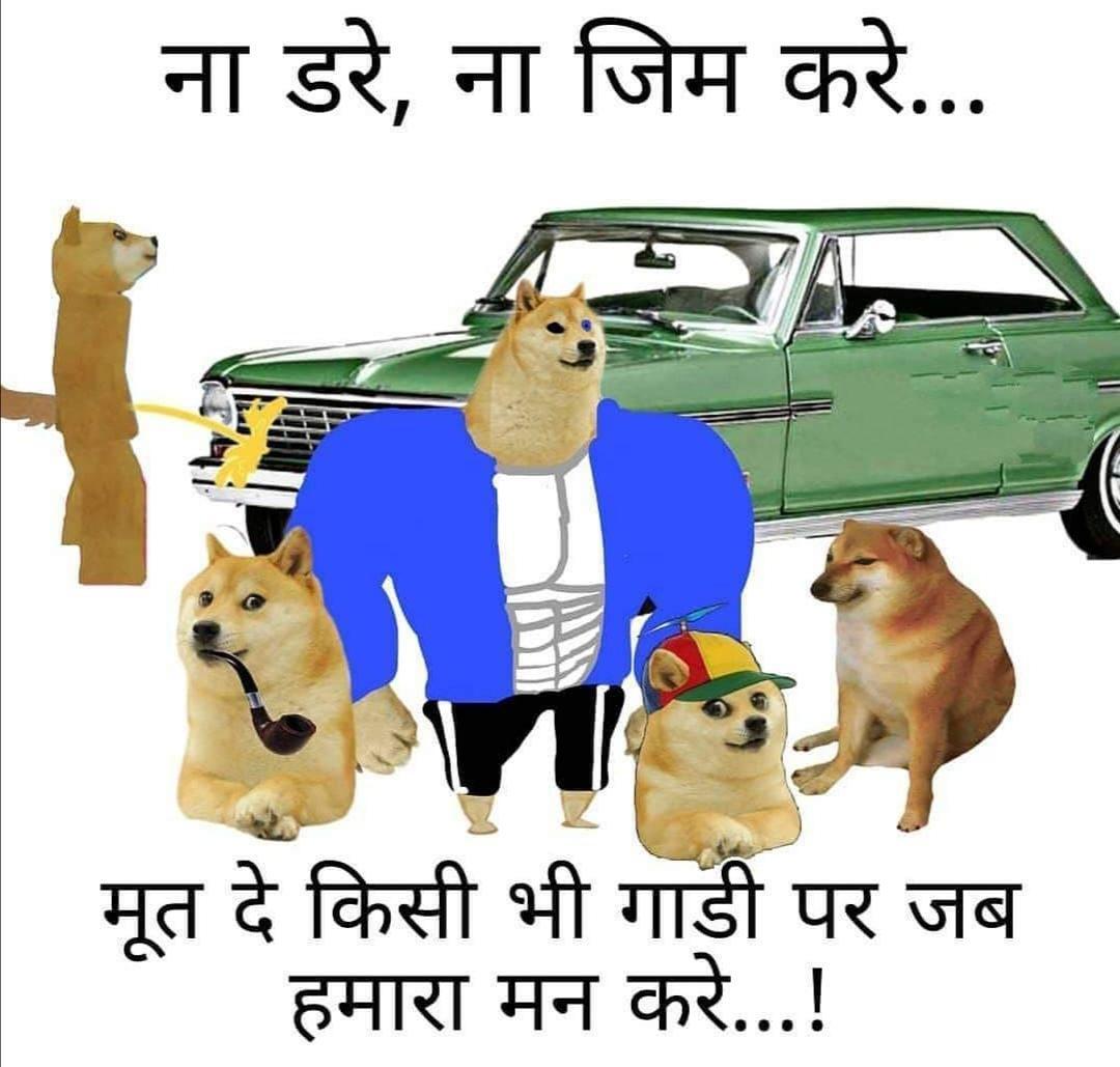 Doge 🐕 | Scrolller