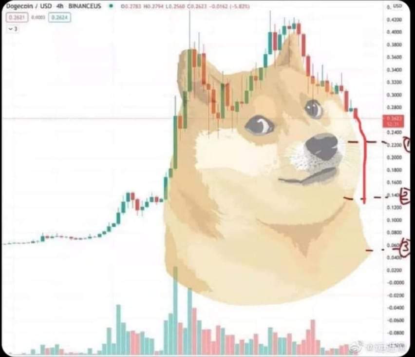 Doge dropped to make this. Do it for the memes. | Scrolller