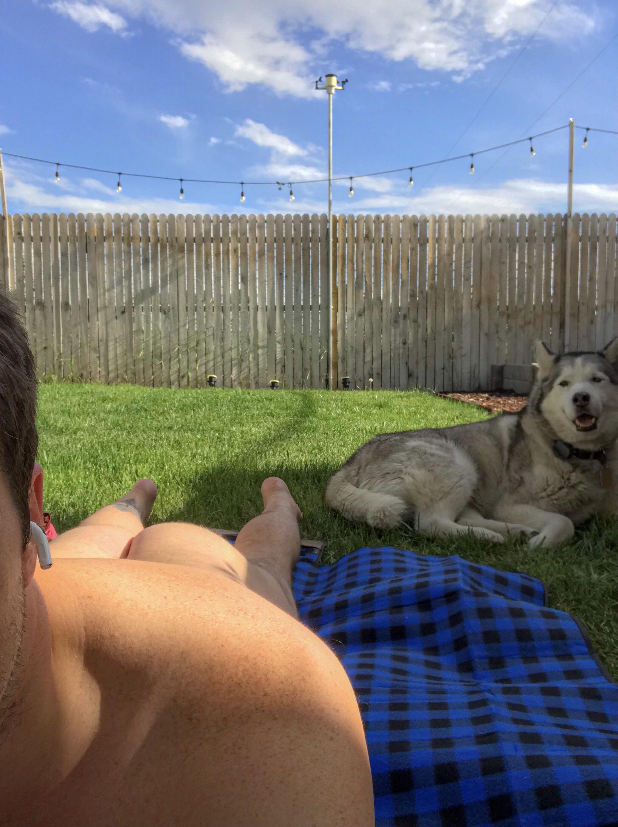 Doggo sees a full moon midday | Scrolller