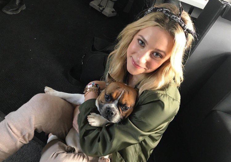 Dogs days | Scrolller