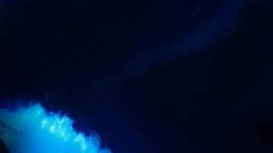 Dolphins swimming at night with luminous plankton | Scrolller