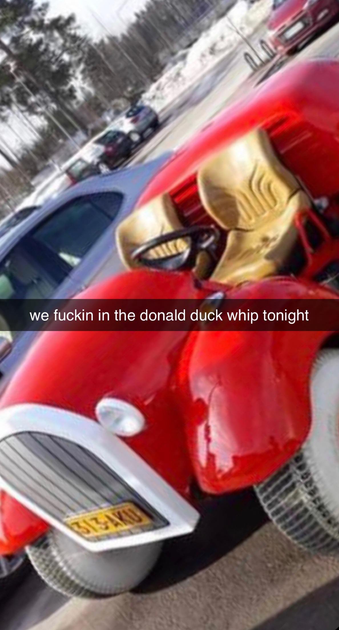 donald cuck | Scrolller