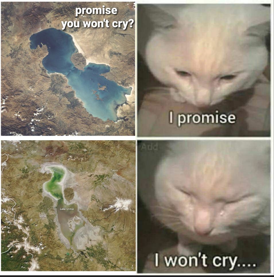 Don't cry | Scrolller