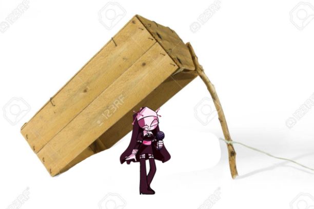 Dont mind me just setting up a trap | Scrolller