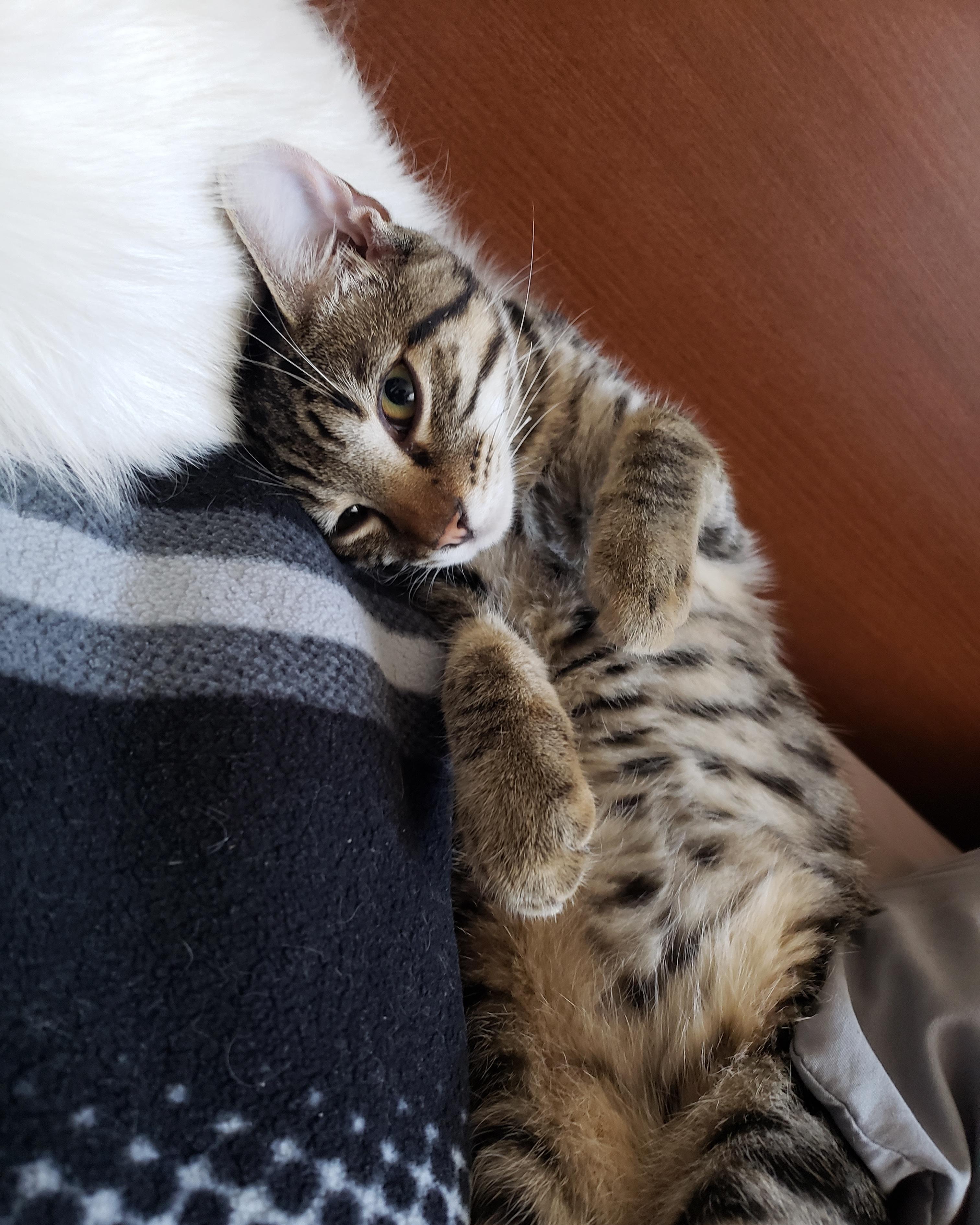 Dooku's feetsies | Scrolller