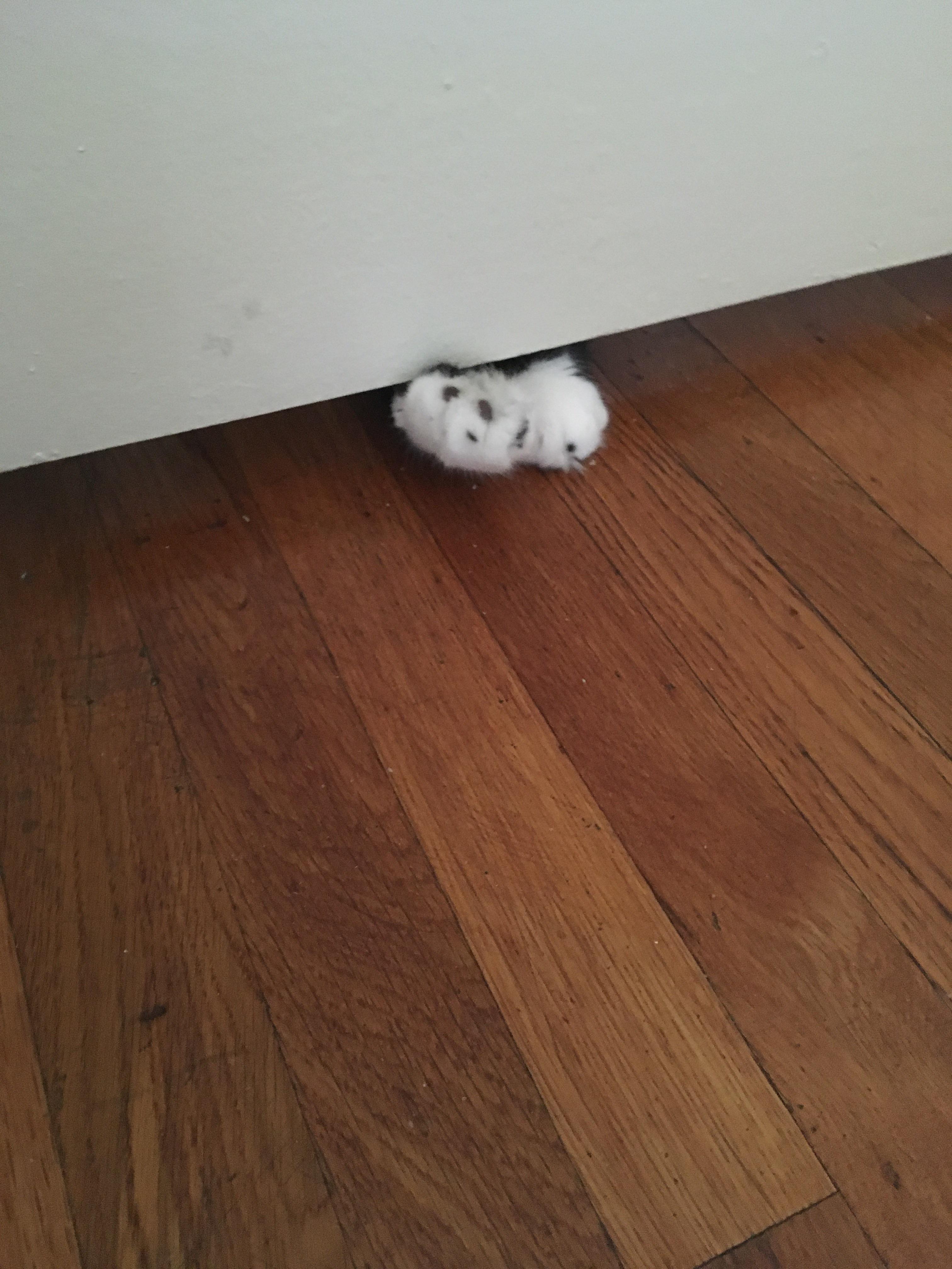 Door gap | Scrolller