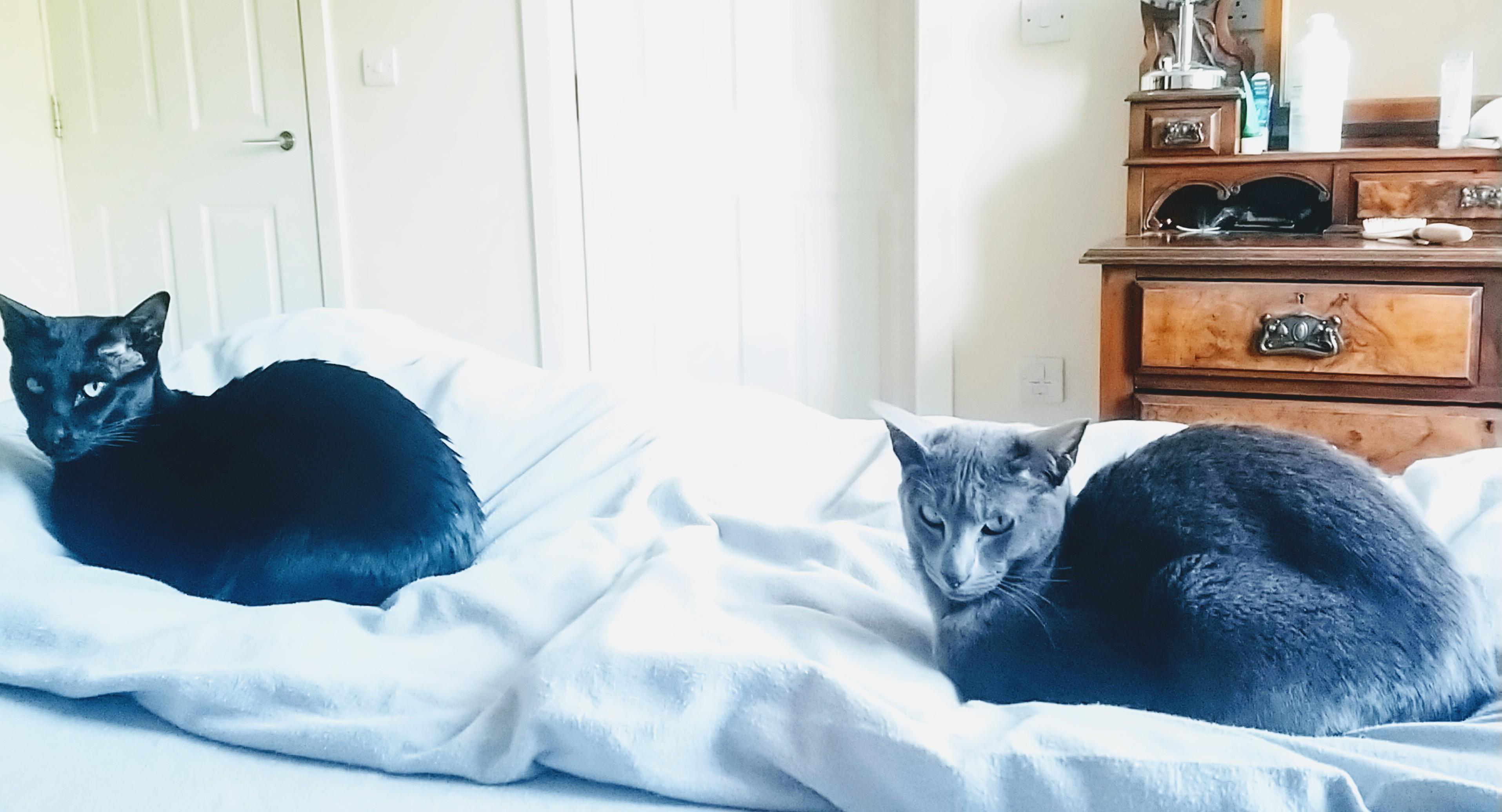 Double loaf! | Scrolller