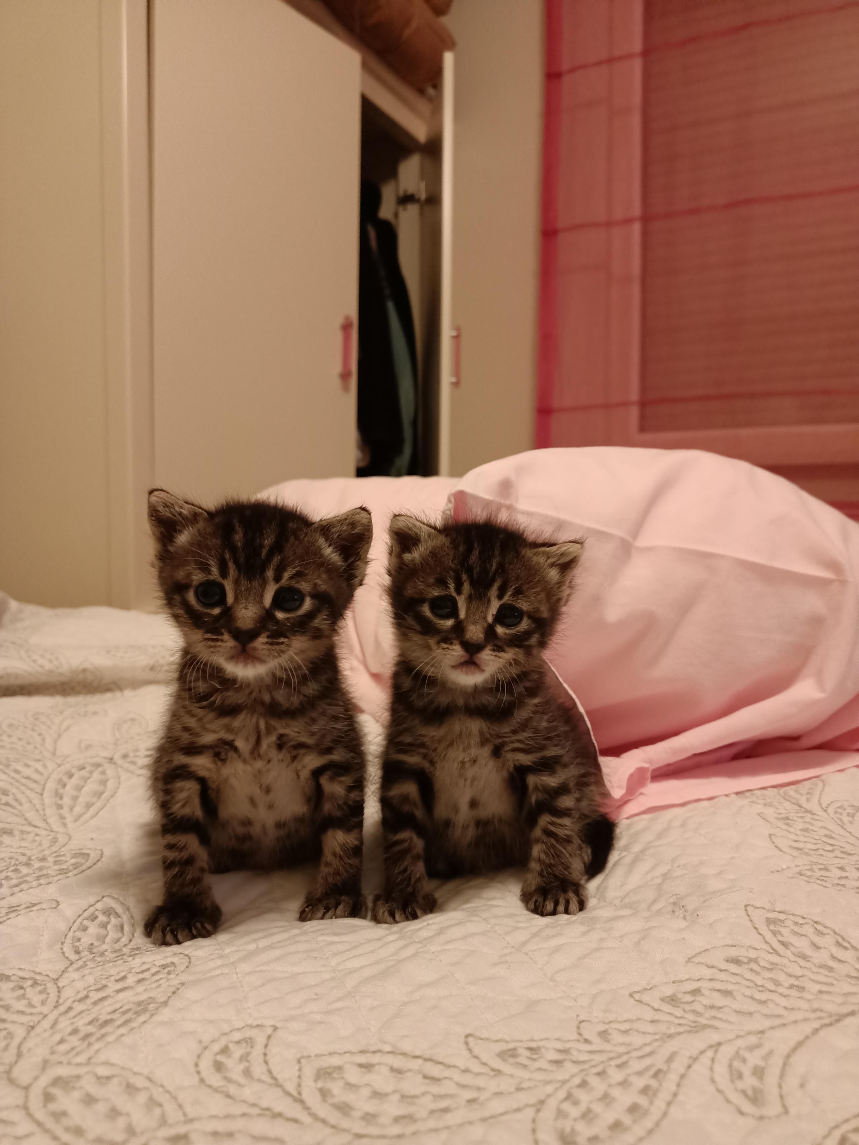 Double SI cuties | Scrolller