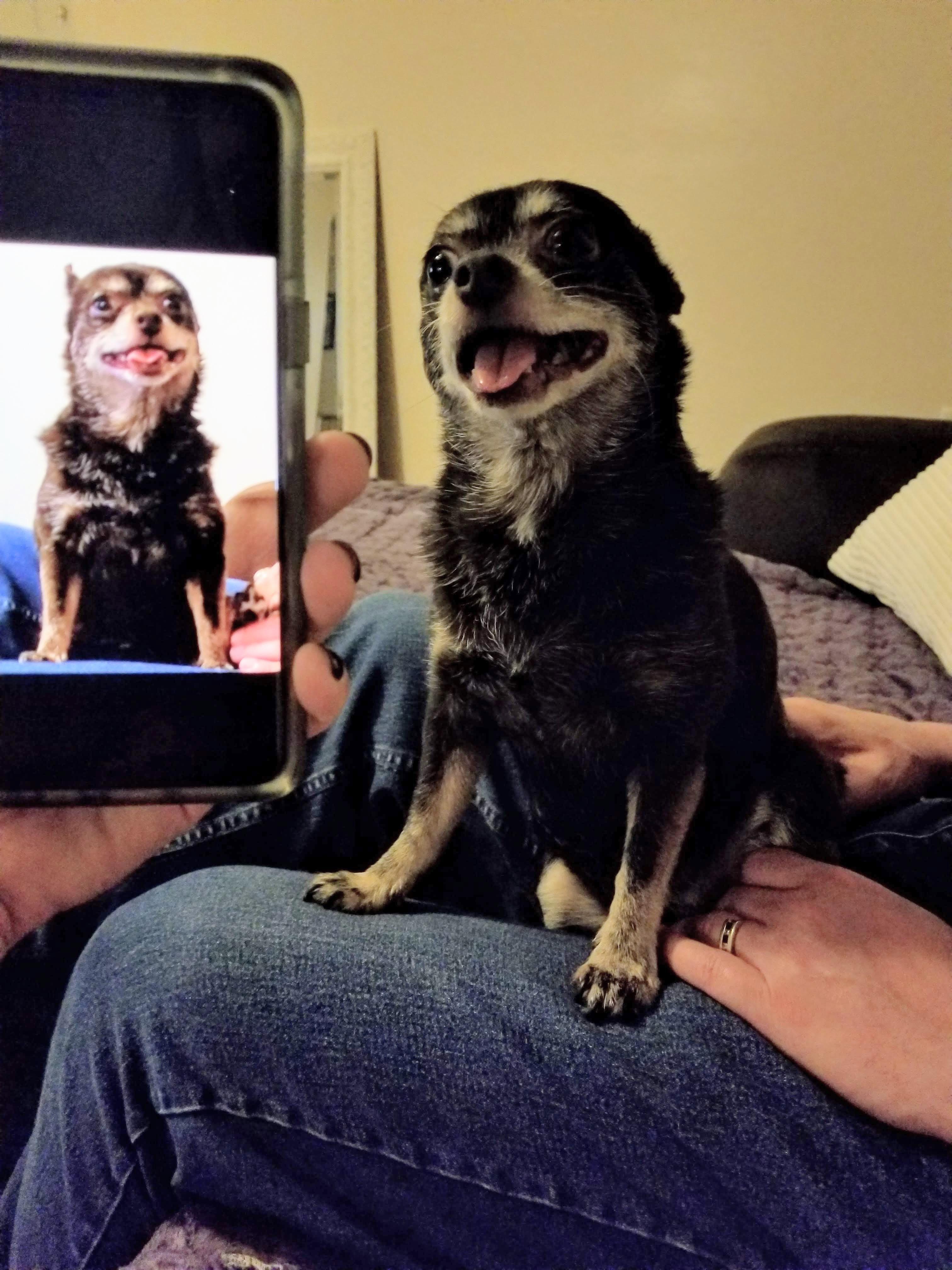 Double the smiles! | Scrolller