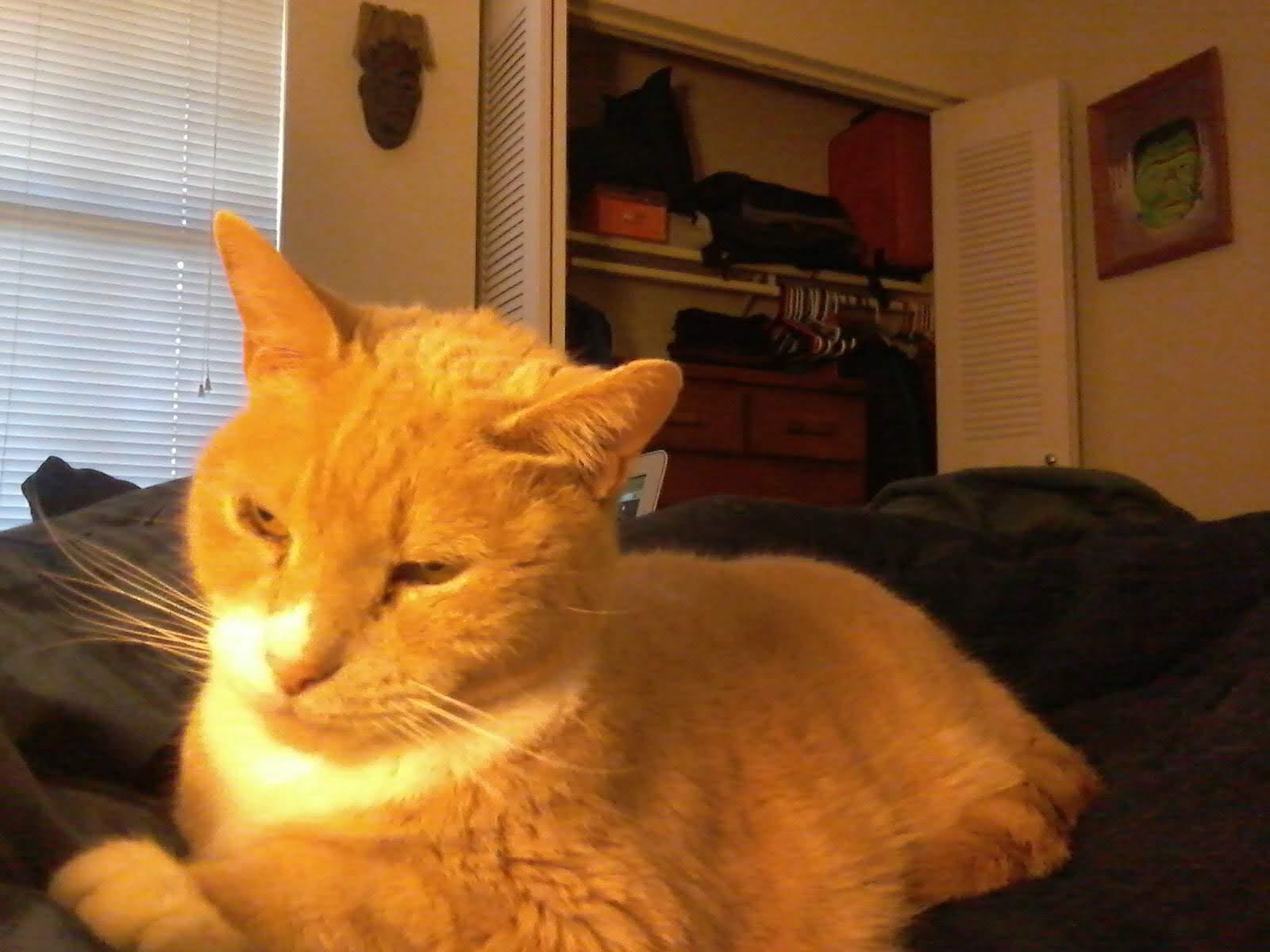 Douglass ...my handsome son! Praise him! | Scrolller