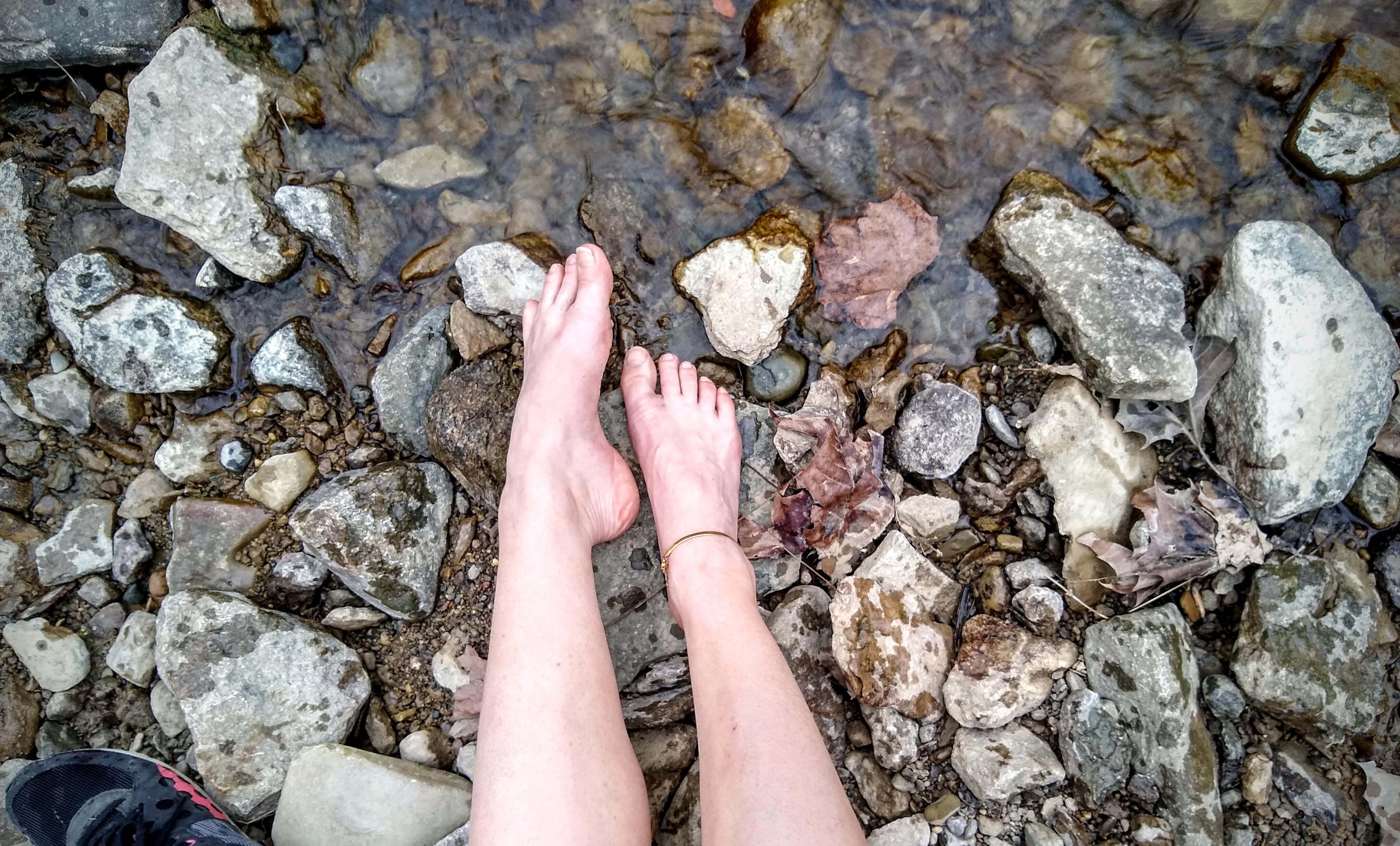 🎶 Down by the river 🎶 | Scrolller