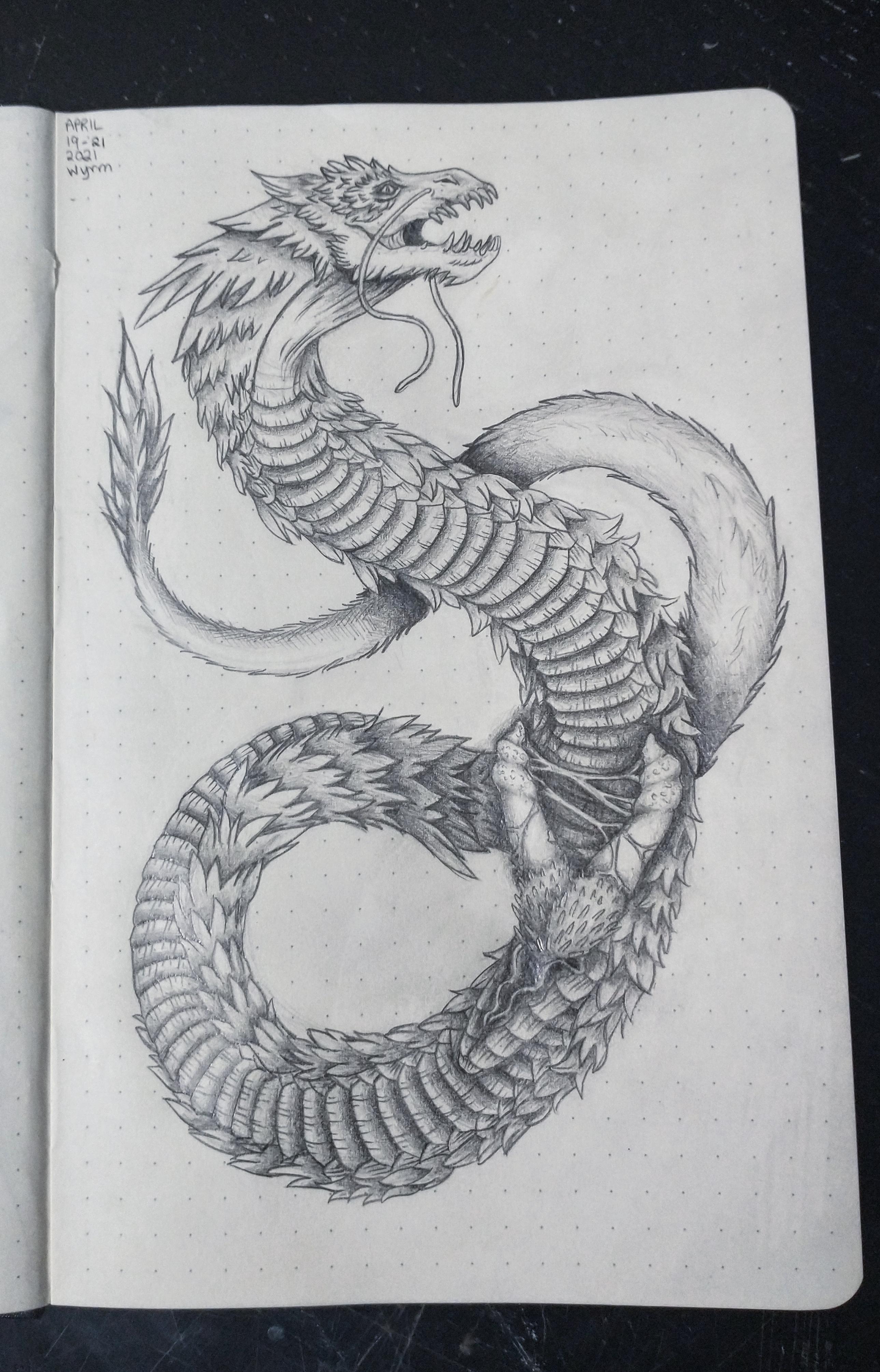 Dragon dicks sketch completed | Scrolller