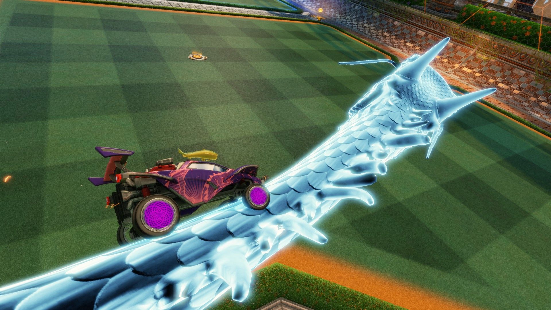 Dragon Rider. | Scrolller