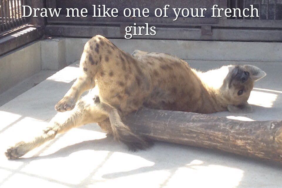 Draw_irl | Scrolller