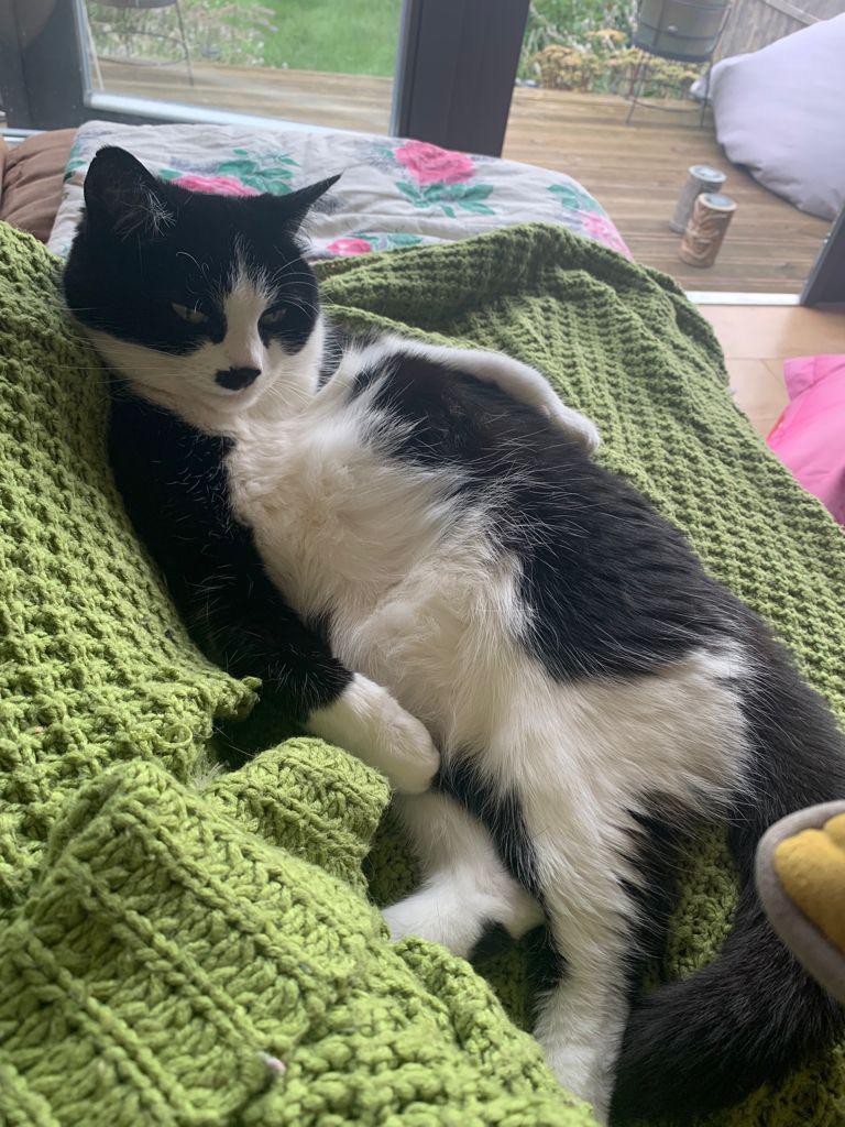 “Draw me like one of your French women Jack” | Scrolller