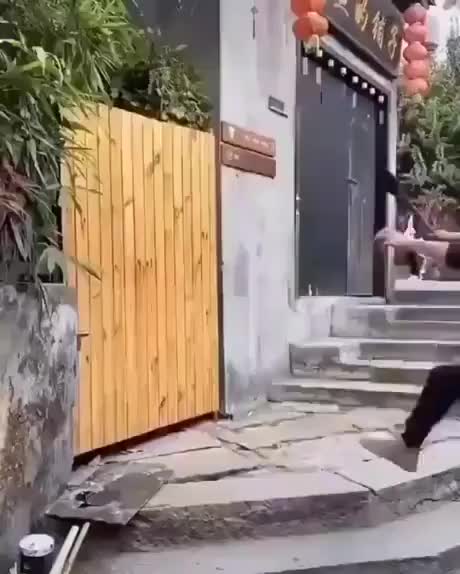 Drawing a tiger on wooden gate | Scrolller