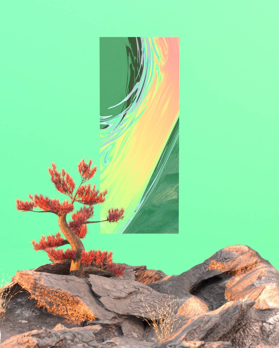 DRIED OUT | Scrolller