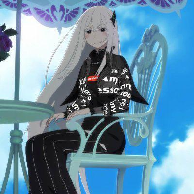 Drip Echidna | Scrolller