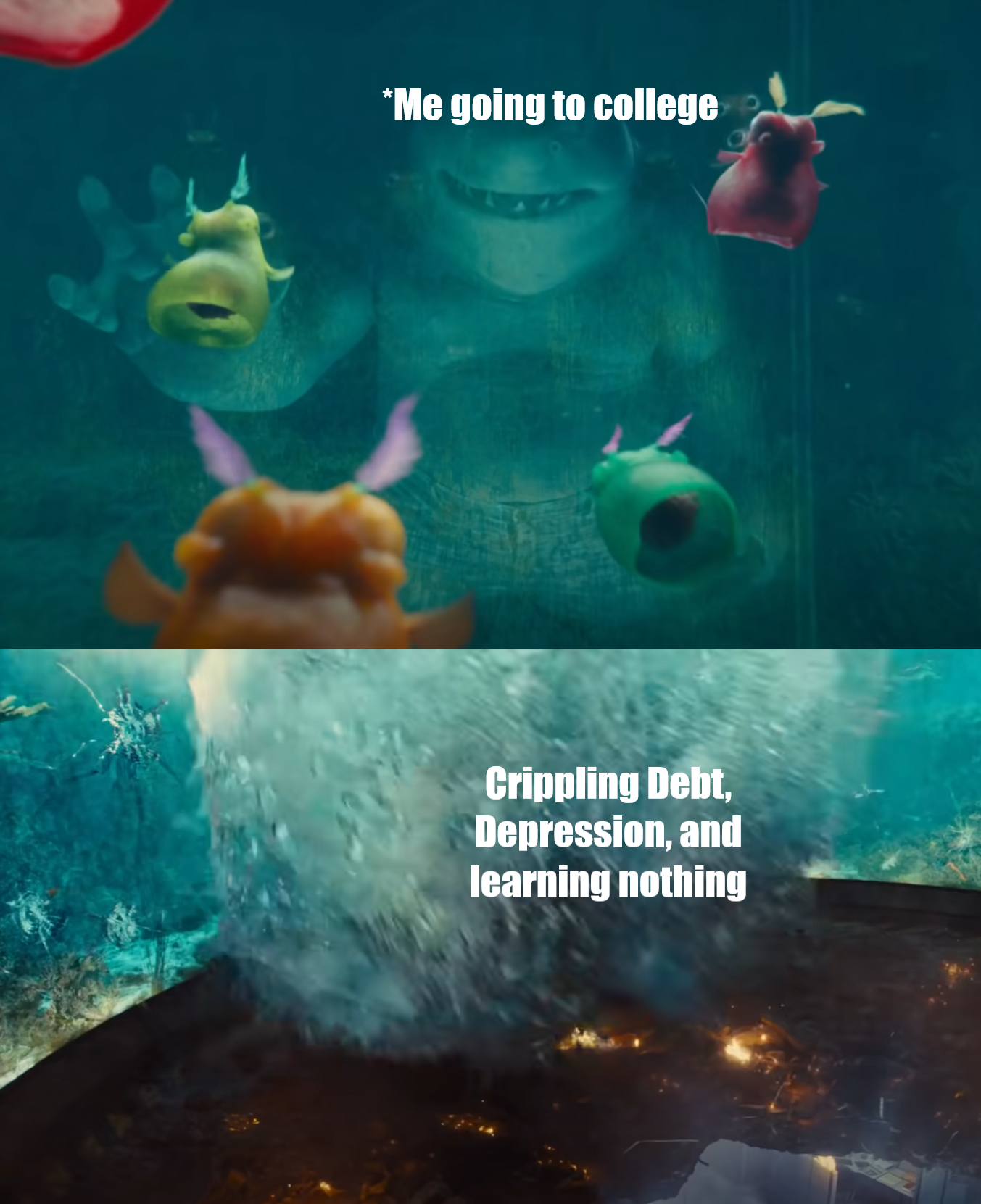 Drowning in debt | Scrolller