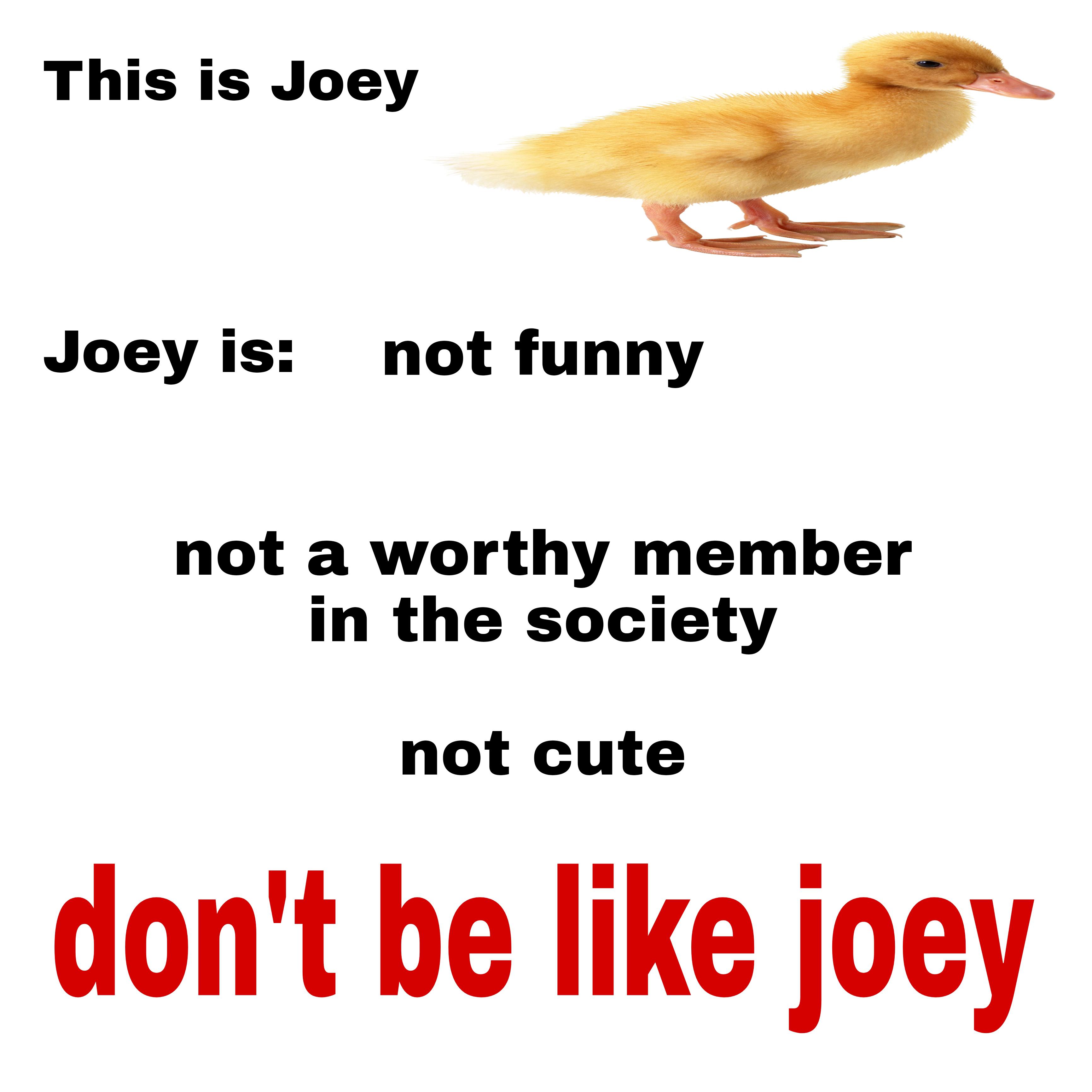 Duck rule | Scrolller