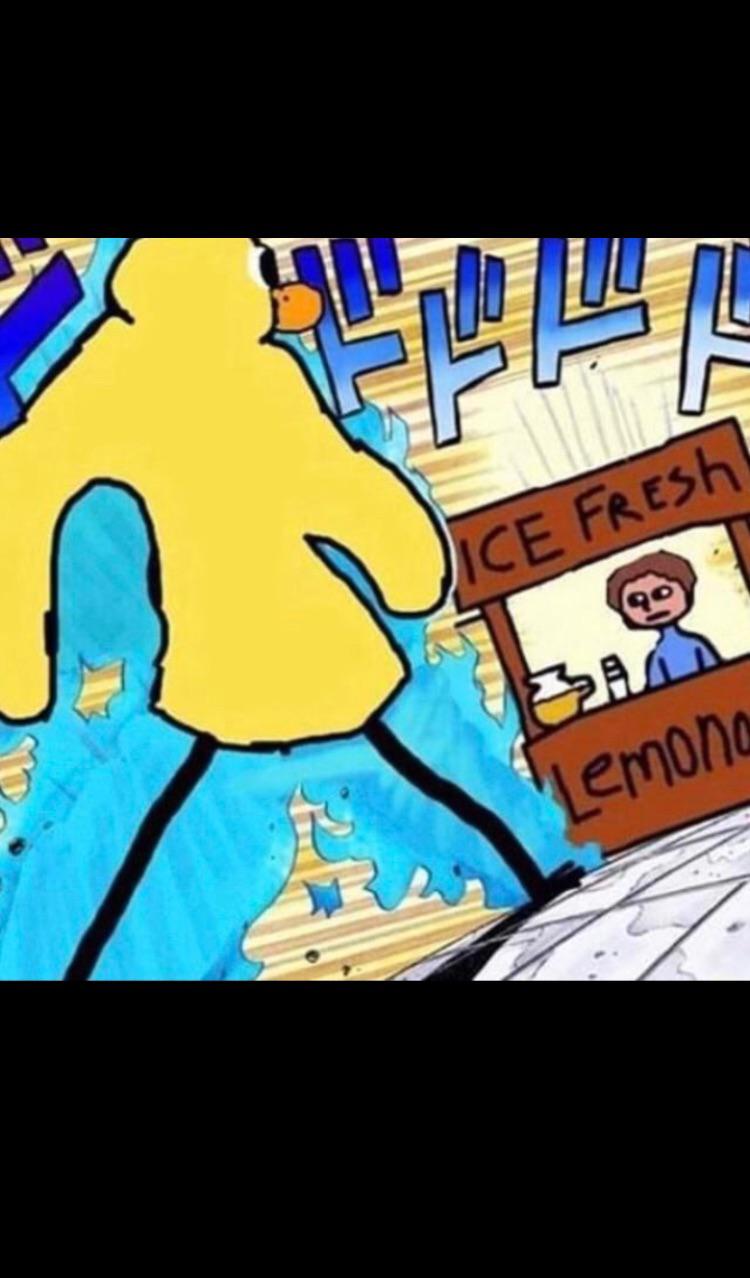 Duck Rule | Scrolller