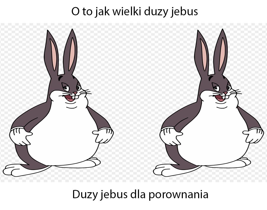 Duzy jest | Scrolller