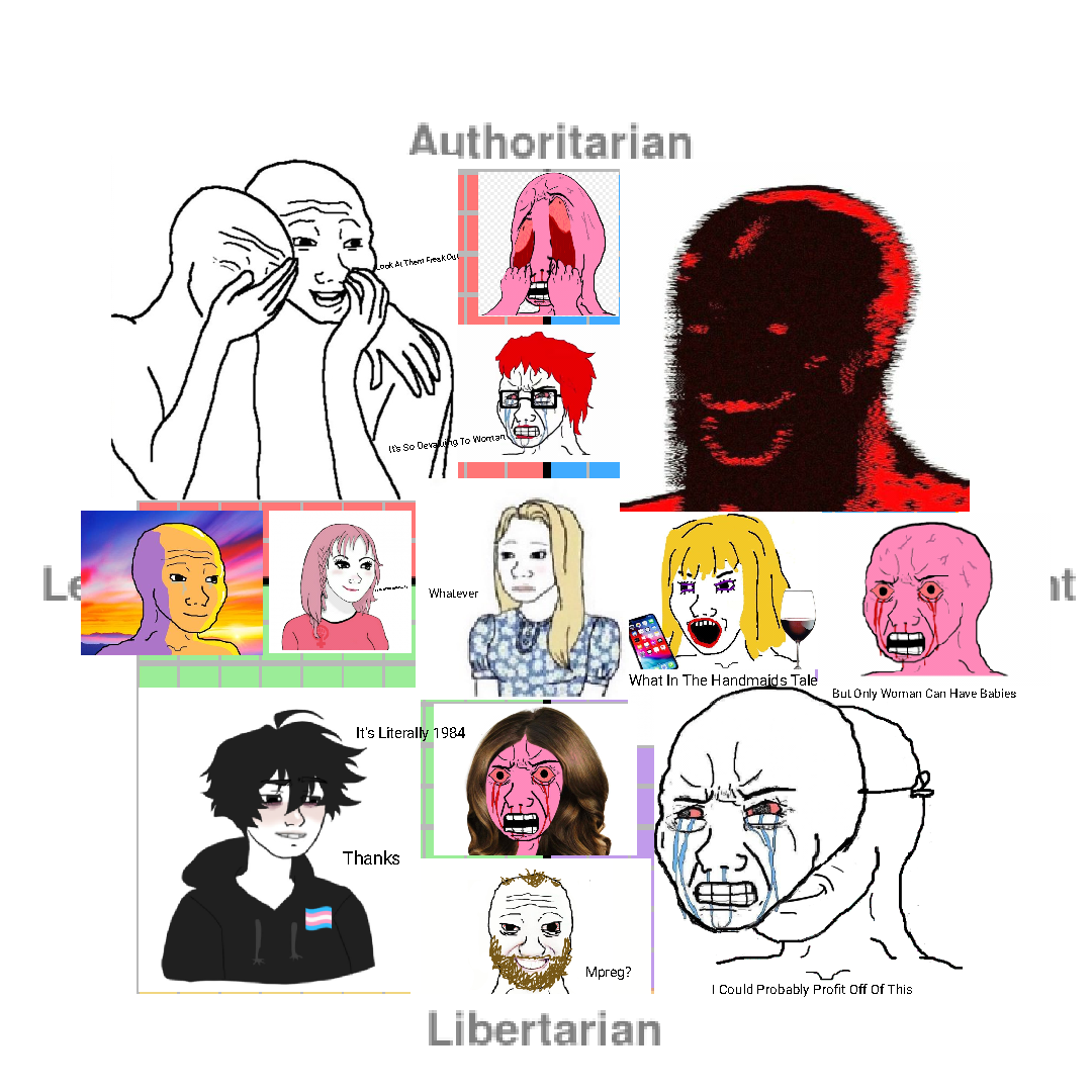 Each Quadrants Reaction To Hospitals Using The Term "Birthing People" | Scrolller