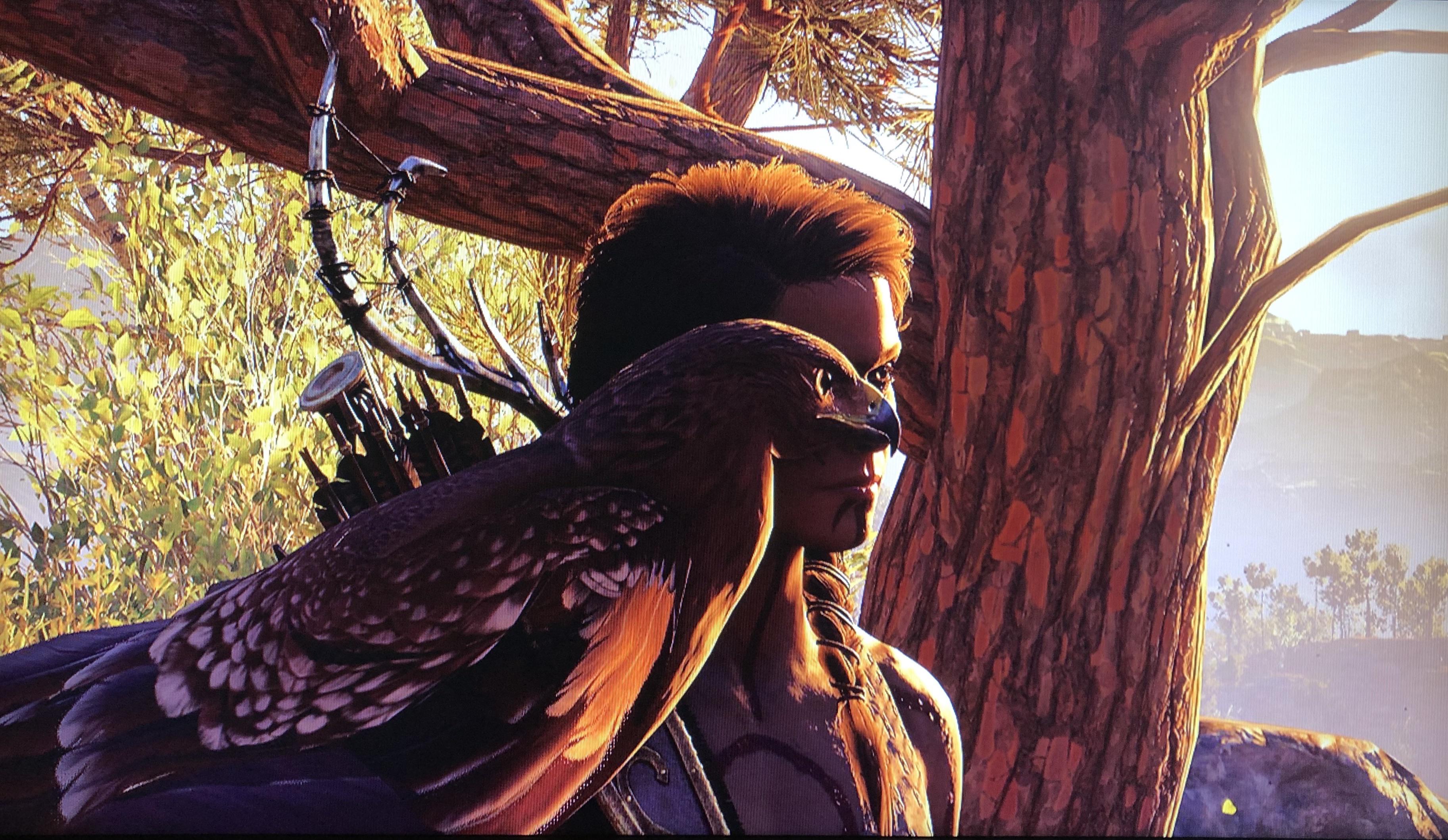 Eagle eye | Scrolller