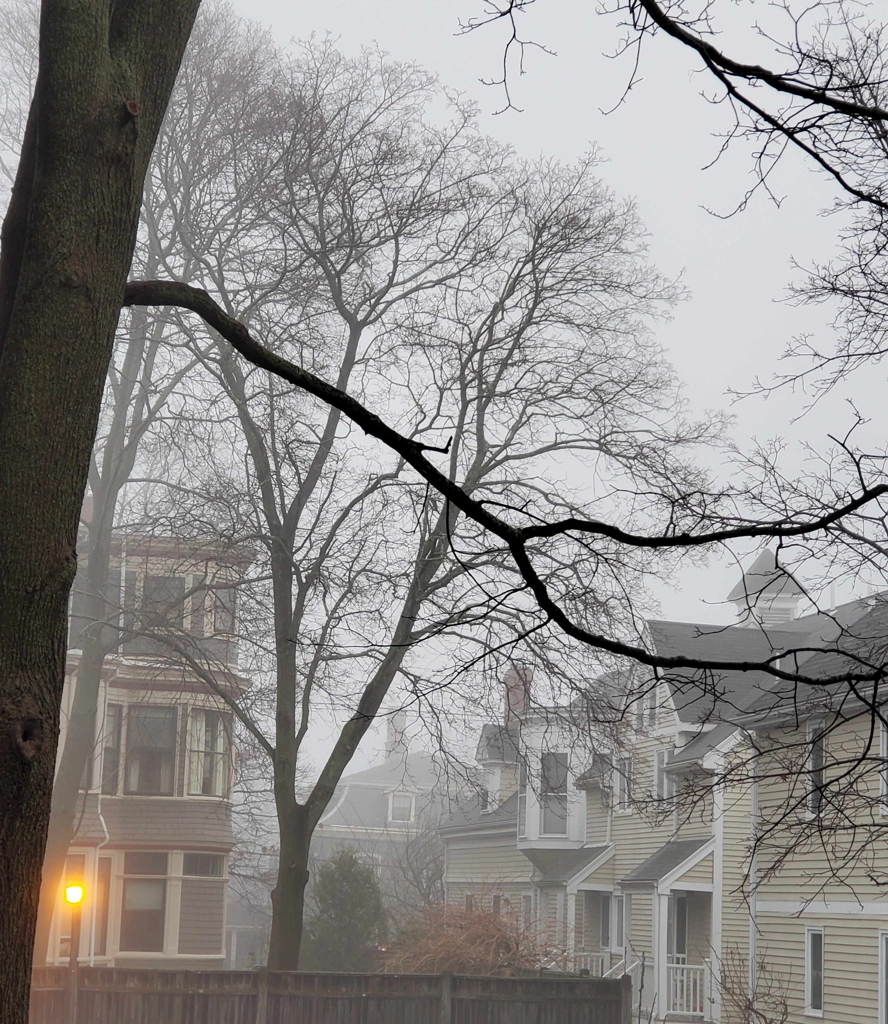 Early morning fog | Scrolller