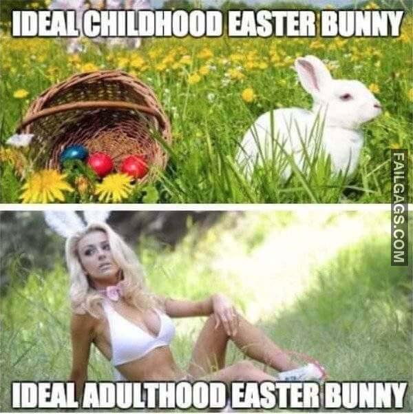 easter bunny funny memes | Scrolller