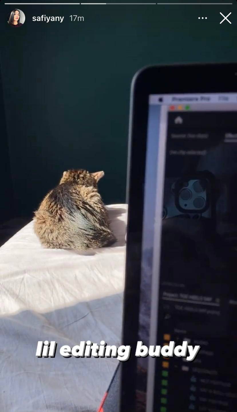 Editing Buddy! | Scrolller