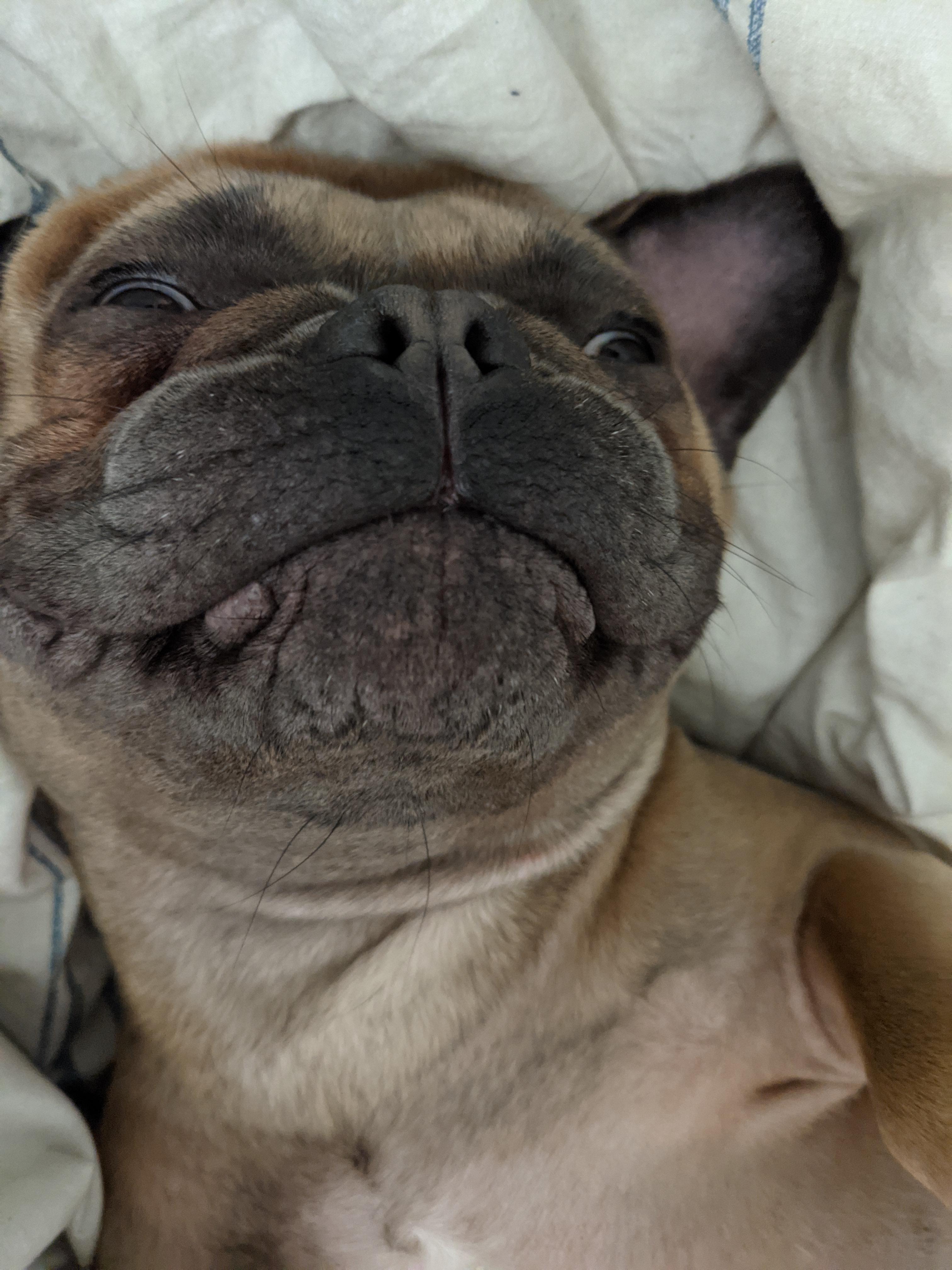 Edward the potato is always derp. 🥰 | Scrolller