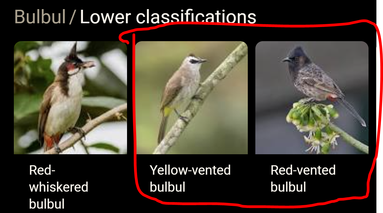 EJECT THE BIRD!!! SUS ALERT!!!!?!?!?!?!!! | Scrolller