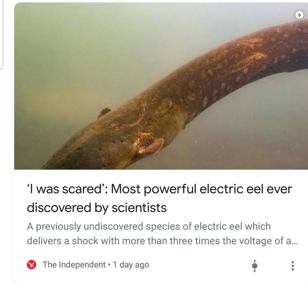 Electric Eel discovered | Scrolller